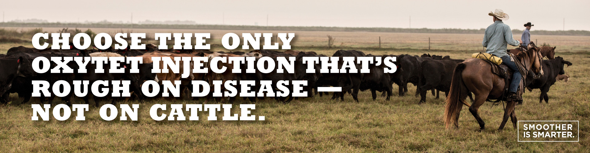 BioMycin® 200 (oxytetracycline injection) | Cattle Antibiotic from ...