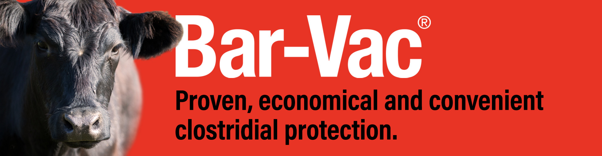 Bar-Vac® | Boehringer Ingelheim Animal Health