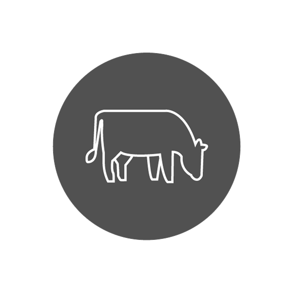 Synanthic® (oxfendazole oral suspension) | Boehringer Ingelheim Animal ...