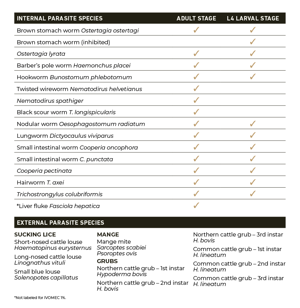 Ivomec® (ivermectin) | Boehringer Ingelheim Animal Health