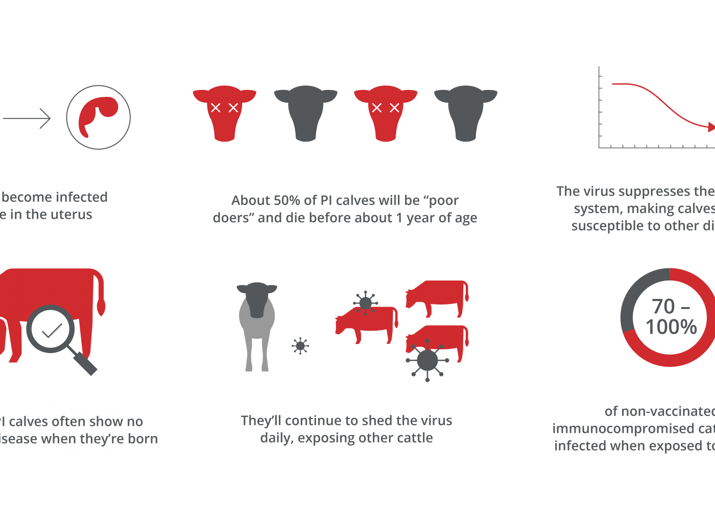 Express® | Boehringer Ingelheim Animal Health