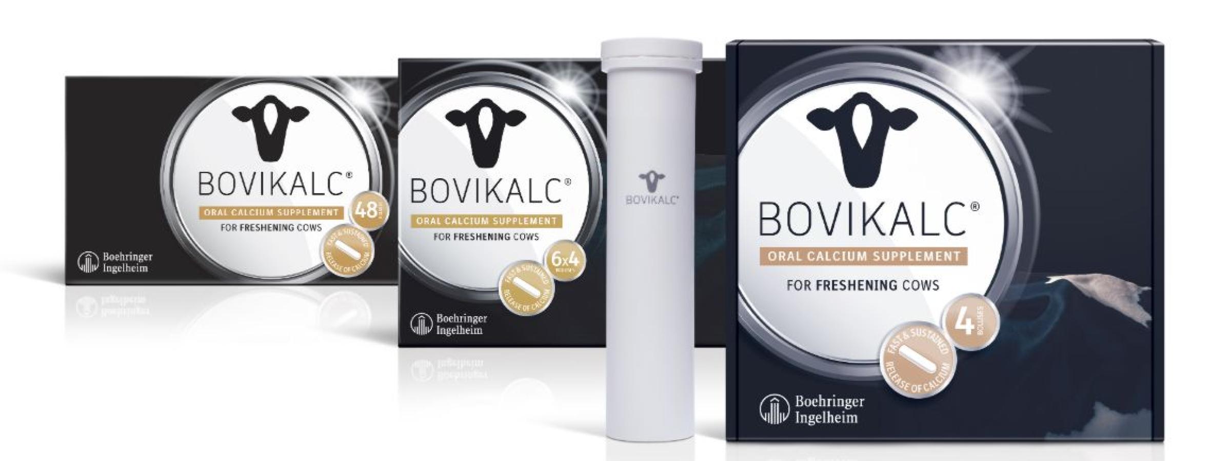 Bovikalc® | Cattle Supplement from Boehringer Ingelheim Animal Health