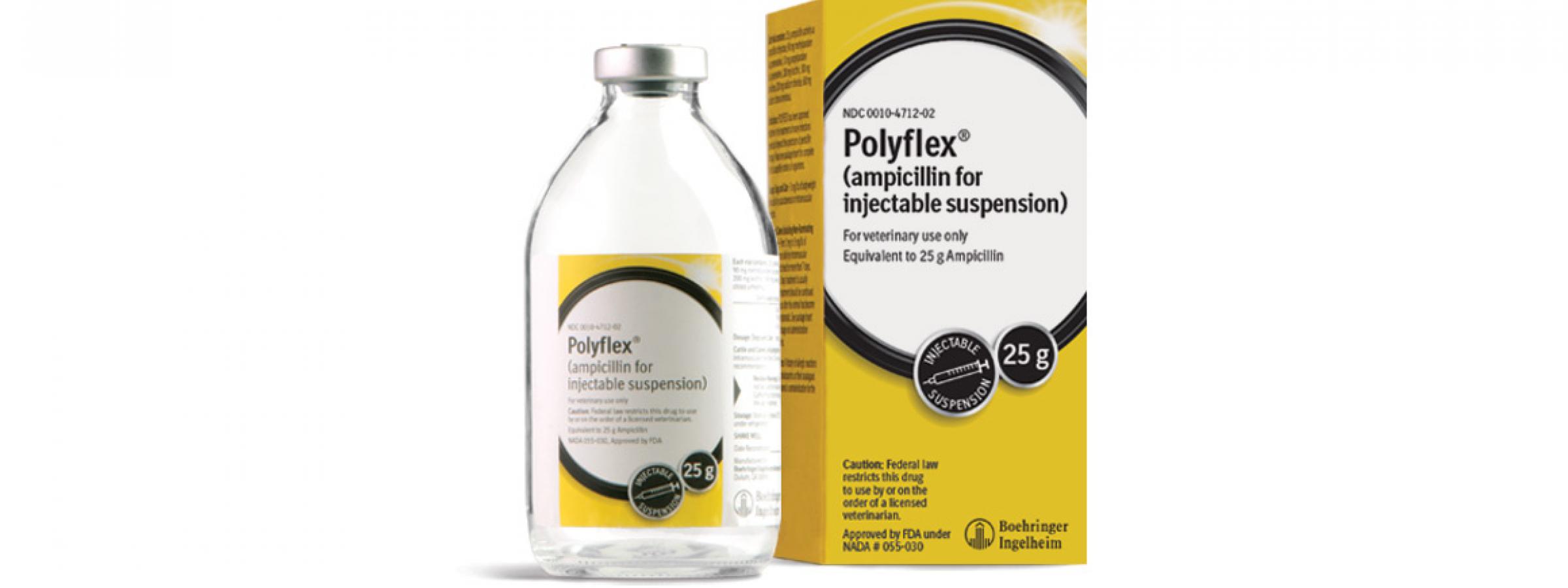 Polyflex® | Cattle Antibiotic from Boehringer Ingelheim Animal Health