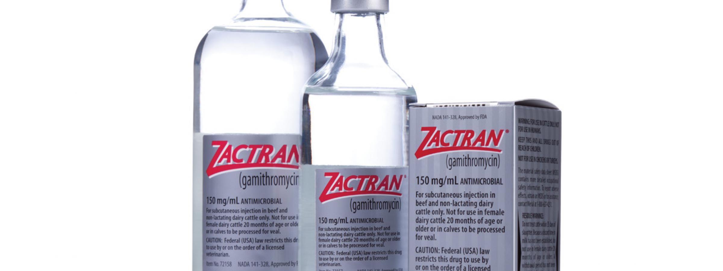 Zactran® (gamithromycin) | Cattle Antibiotic from Boehringer Ingelheim ...