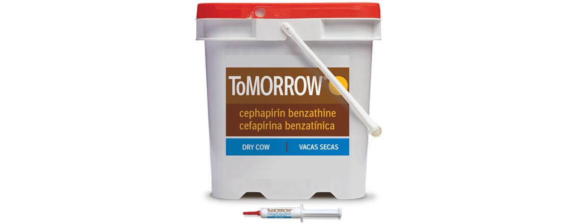 ToMORROW® | Mastitis Treatment from Boehringer Ingelheim Animal Health