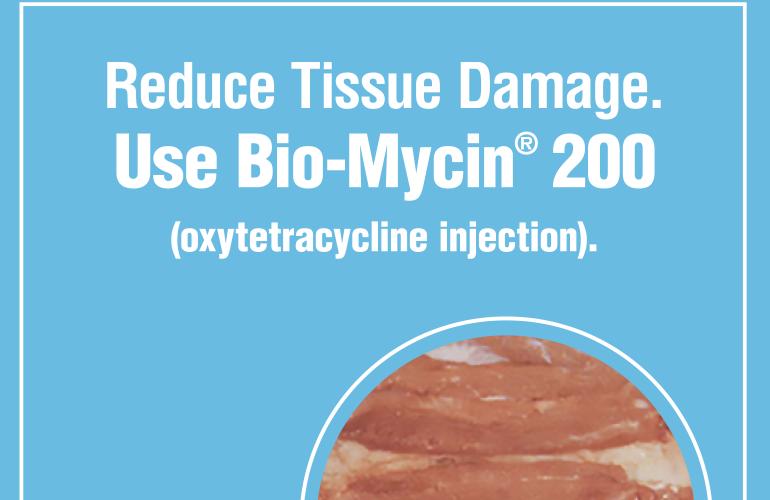 BioMycin® 200 (oxytetracycline injection) | Cattle Antibiotic from ...