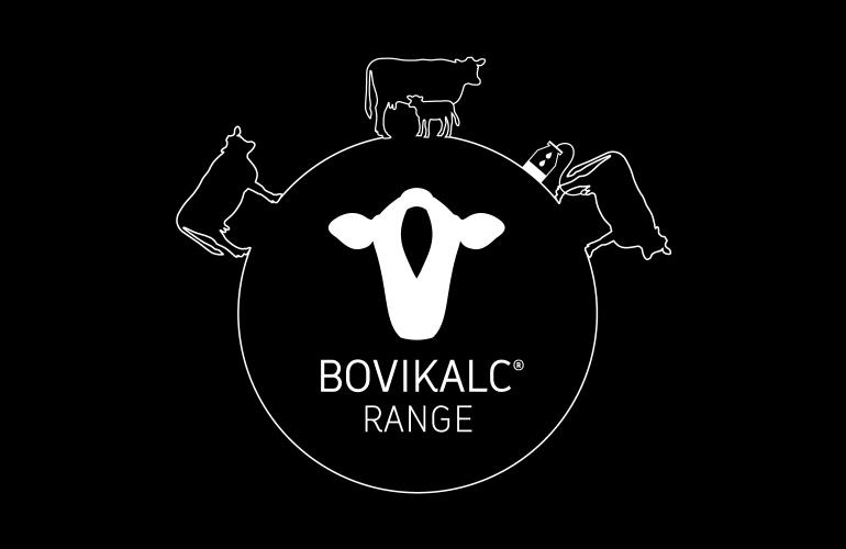 Bovikalc® Dry | Boehringer Ingelheim Animal Health