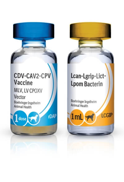 RECOMBITEK® Canine Vaccines | Boehringer Ingelheim Animal Health