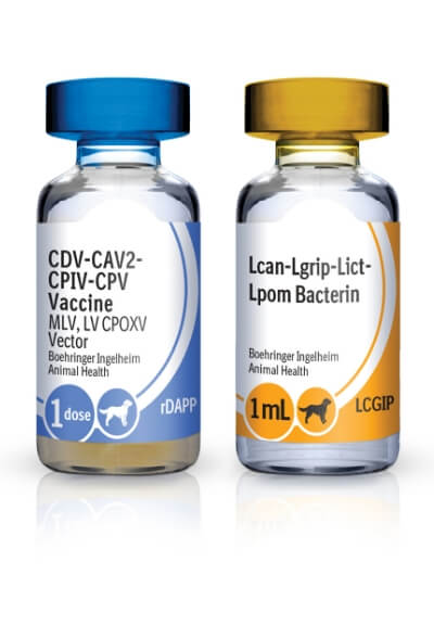 RECOMBITEK® Canine Vaccines | Boehringer Ingelheim Animal Health