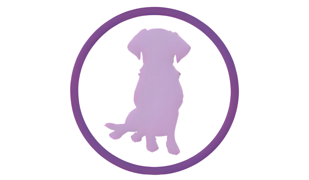 METACAM® (meloxicam) Brand Products | Boehringer Ingelheim Animal Health