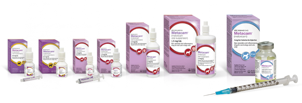 METACAM® (meloxicam) Brand Products | Boehringer Ingelheim Animal Health