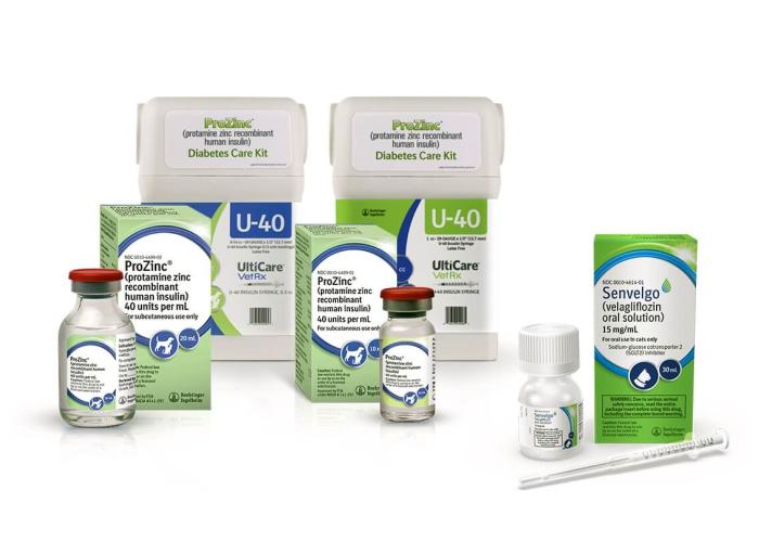 Diabetes Portfolio | Boehringer Ingelheim Animal Health