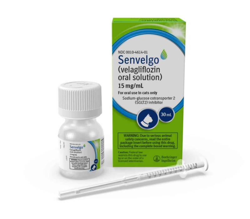 Diabetes Portfolio | Boehringer Ingelheim Animal Health