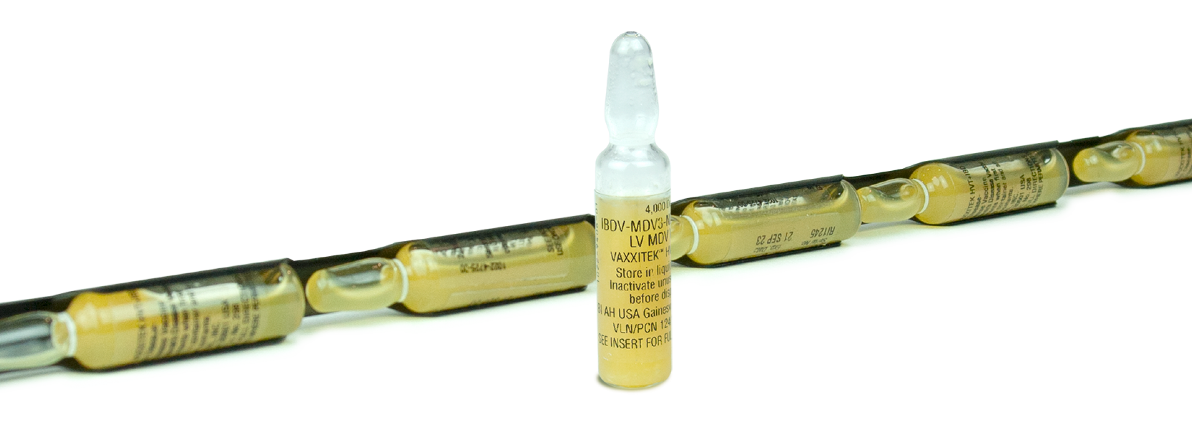 [VAXXITEK HVT+IBD] | [Boehringer Ingelheim Poultry USA]