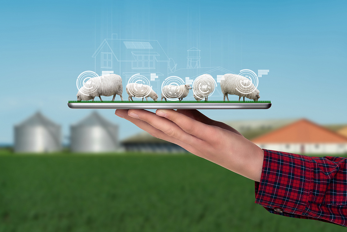 Digital Innovation | Boehringer Ingelheim Animal Health