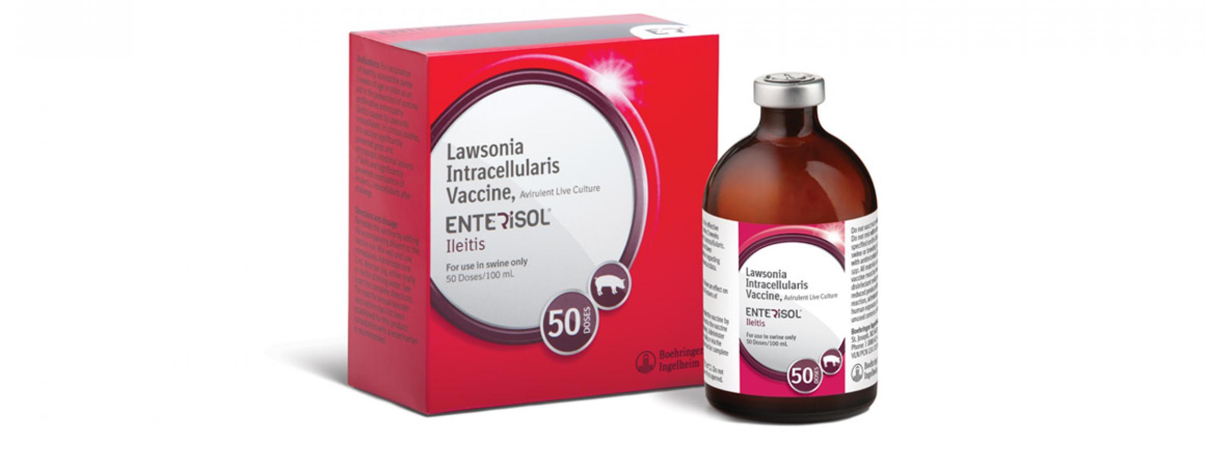 Enterisol® Ileitis | Oral Swine Vaccine from Boehringer Ingelheim ...